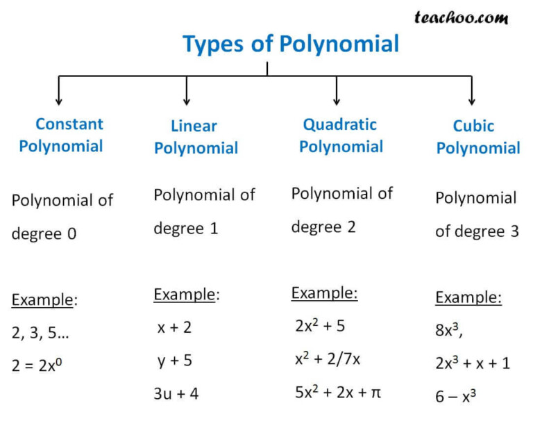 Differnet Types Of Polynomial Constant Linear Quadratic Teachoo ... Differnet Types Of Polynomial Constant Linear Quadratic Teachoo ...